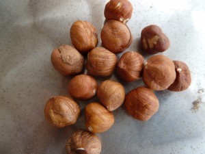 What’s in a name? Hazelnuts in Chile | Bearshapedsphere