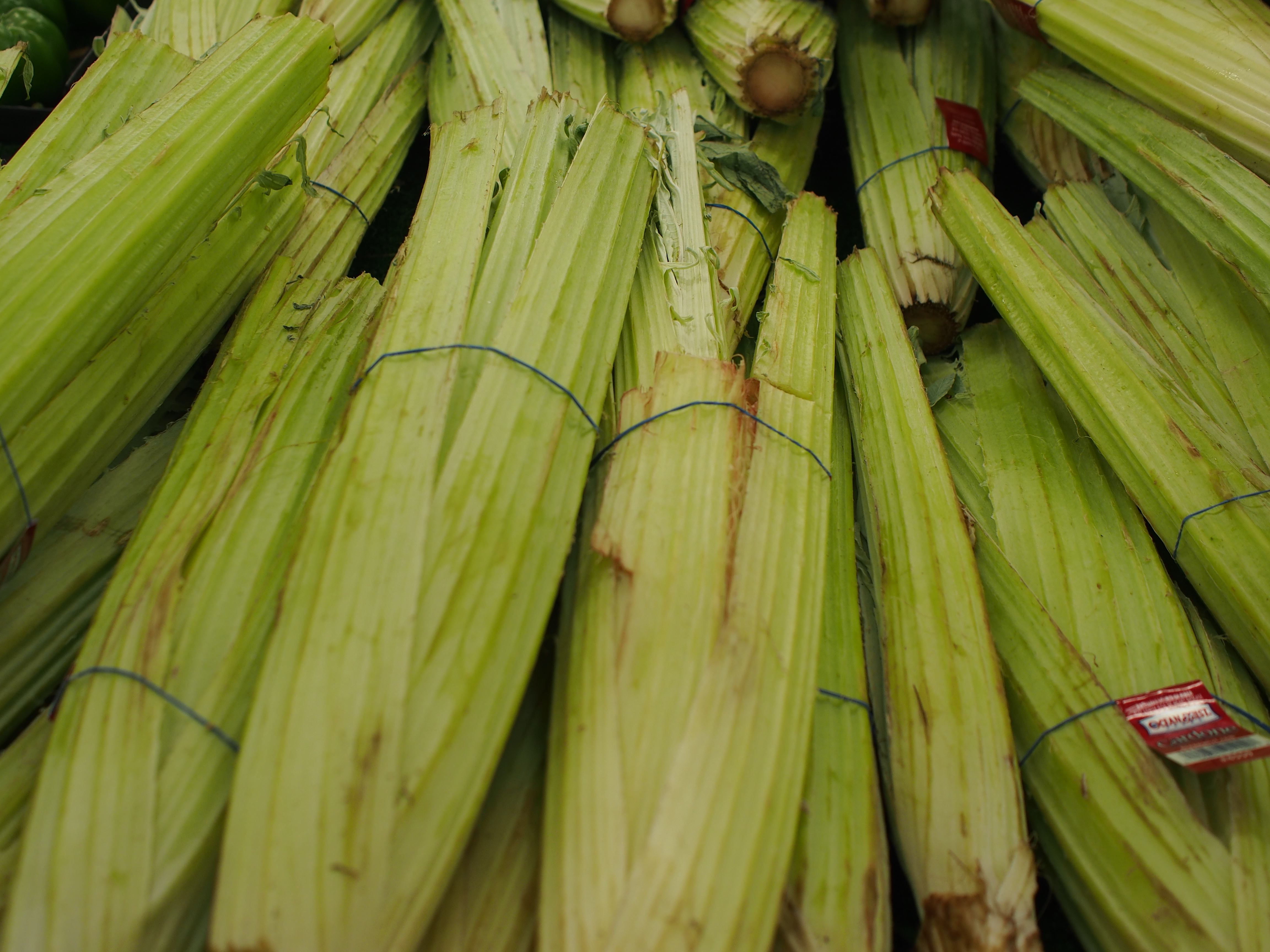 Feria Report, Montreal Version (Sami Fruits), with bonus text ...